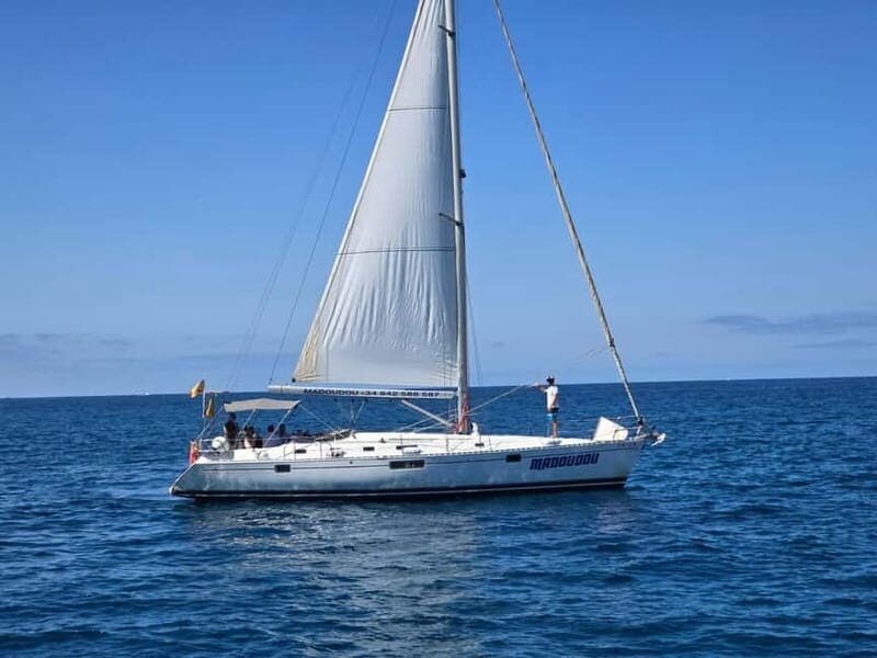 3h Whale Watching Share Tour Beneteau Oceanis 440 - Who Should Book This Tour?