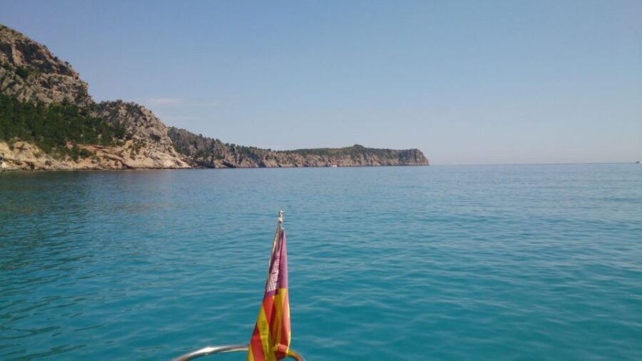 3hr Sunset Trip Drinks, Tapas SUP, Snorkel - Who Will Love This Cruise?