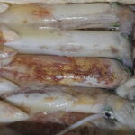 4-hour FISHING DAY by BOAT departing from Hondarribia - The Itinerary Breakdown
