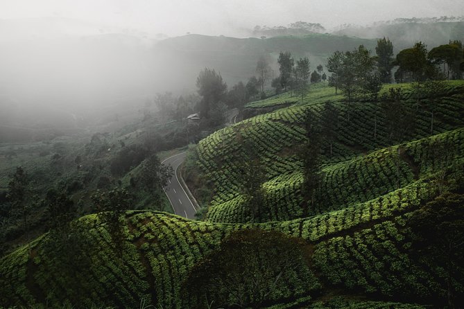 05 Days Sri Lanka Tour - Ceylon Highlights - The Sum Up: Is This Tour for You?