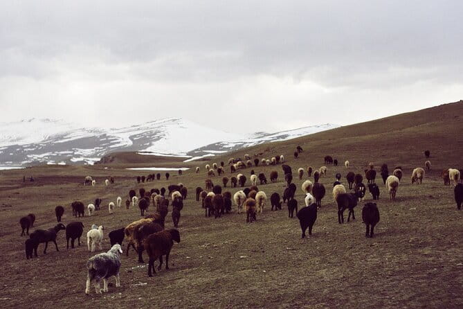1 day Ala-Archa gorge tour - Who Should Consider This Tour?