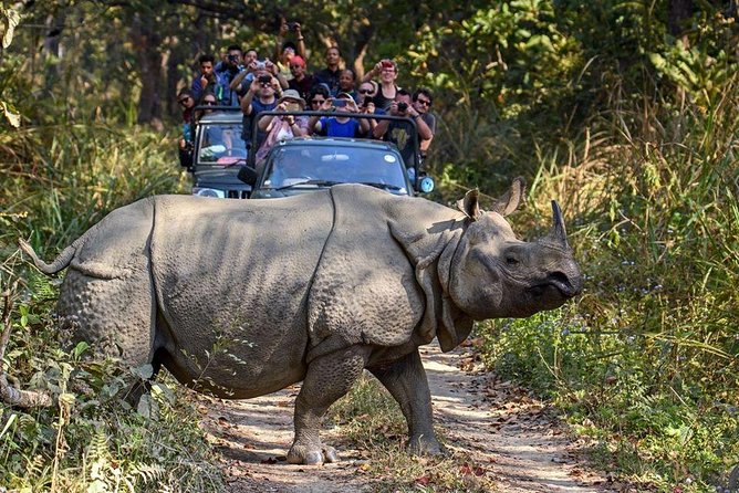 10 days Special Nepal Tour Package - FAQs