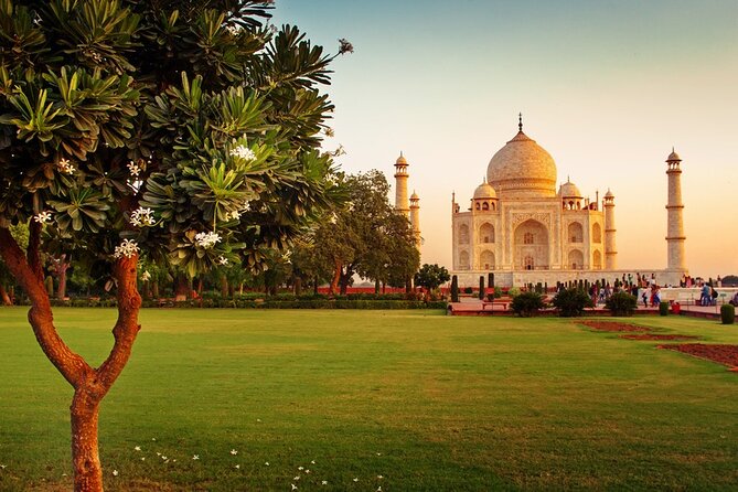 11-day Private Tour: Legacy of Rajasthan - Final Thoughts