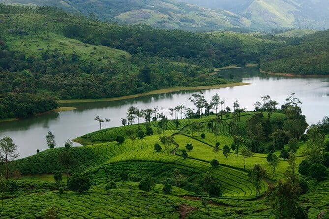 12 Hours Private Munnar Tour from Kochi - FAQ