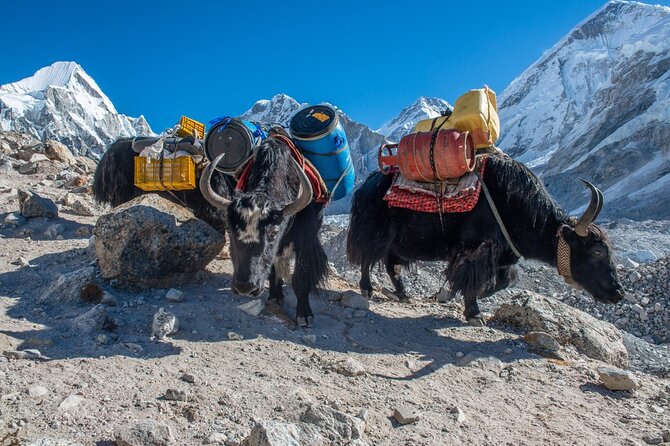 14 Days Private Tour Everest Base Camp Trek - Day 4: Rest and Acclimatization in Namche