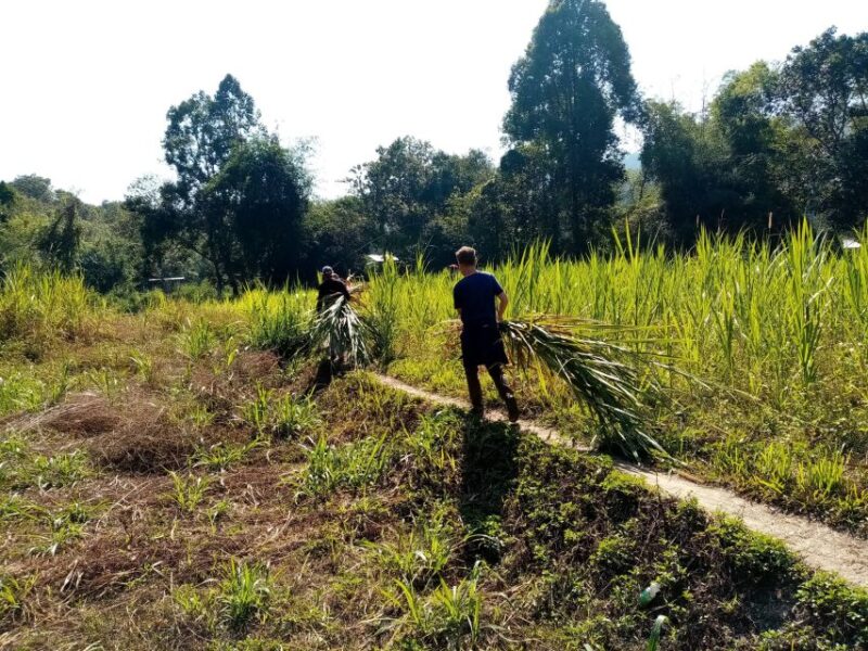 2 Days 1 Night: Eco Trekking to the White Pakayaw Village - Detailed Breakdown: What’s in Store