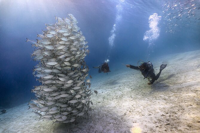 (2 Dives) Discover Scuba Diving Kota Kinabalu - Who Should Opt for This Tour?