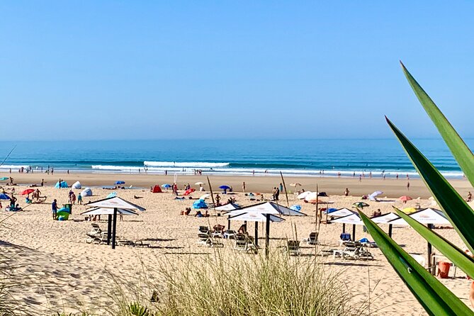 2 Hours Surf Rentals in Costa da Caparica - Authentic Feedback from Past Participants