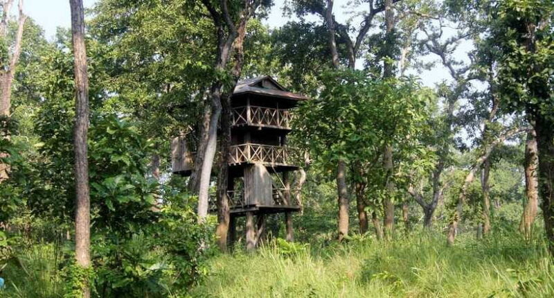 2 Nights 3 Days : Chitwan Jungle Safari Tour - Why This Tour Offers Great Value