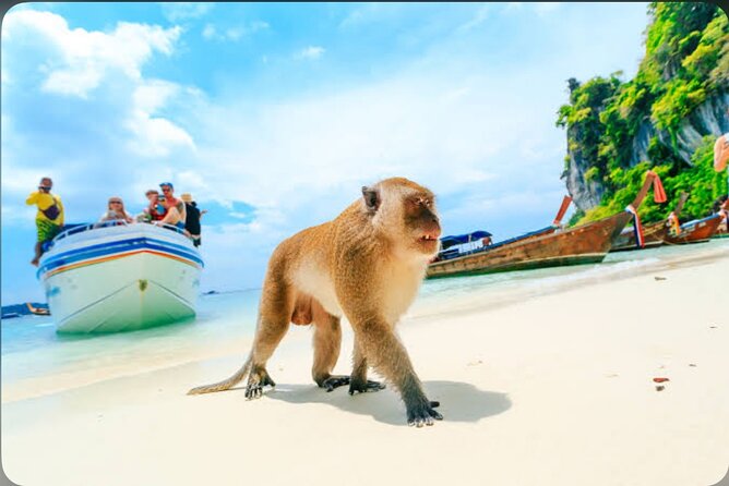 2x Snorkelling Phi Phi, Maiton, Maya Bay, khai islands tour - Who Should Book This Tour?