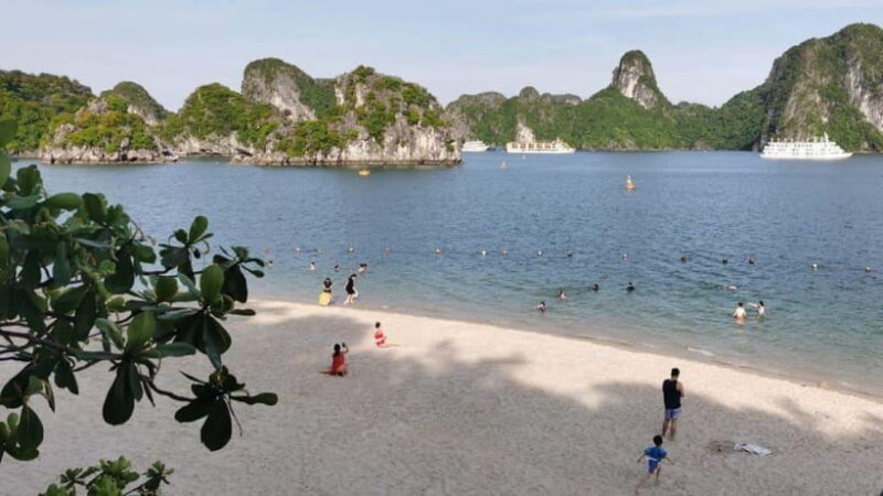 3-Day 2-Night Ha Long Bay Cruise with private balcony - Authentic Experiences and Practical Details