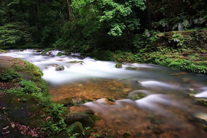 3-Day Private Zhangjiajie In-depth Exploring Tour - Breathtaking Natural Scenery