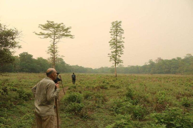 3 Days Chitwan Safari - Day 3: Bird Watching and Departure