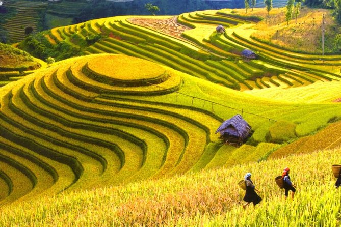 3 Days Sapa Tour with Night Train from Hanoi - A Day of Exploration in Sapa