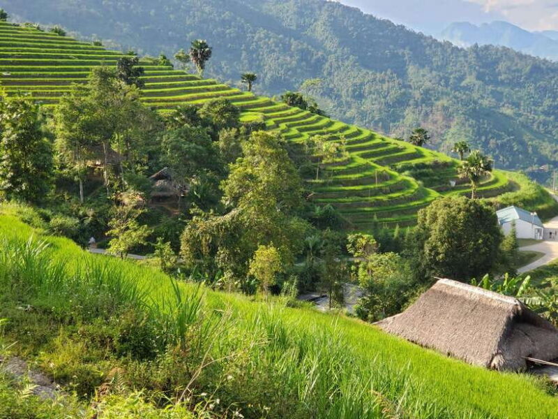 4 Days Ha Giang-Hoang Su Phi Kingdom of terraced with rider - FAQ