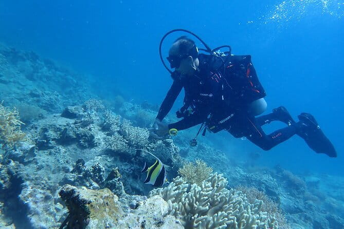 4 Islands & 2 Reefs - Discovery Snorkeling & Relaxing (MAX 12) - Frequently Asked Questions