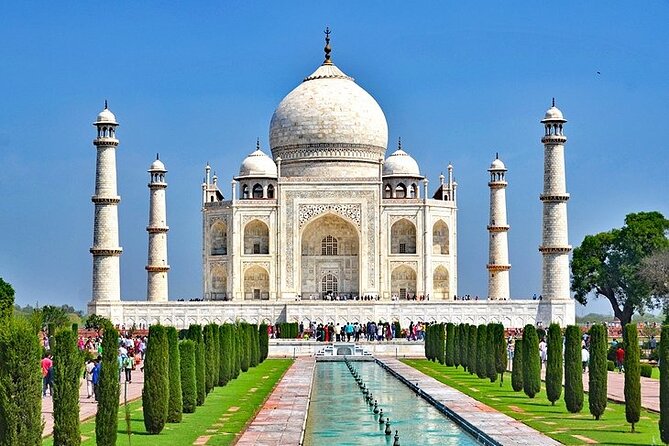 5 Day Private Tour of Tigers, Taj Mahal and Palaces from Cochin - FAQ