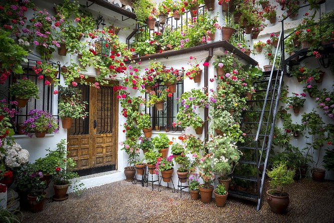 6-Day Guided Tour Andalusia & Madrid from Lisbon - FAQ