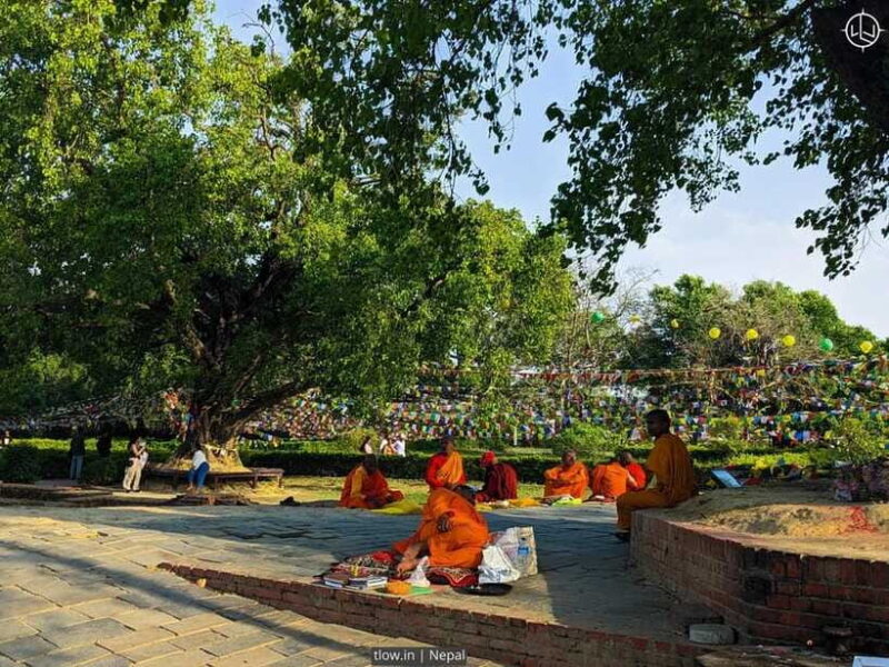 7-Day Buddhist Meditation Retreat in Lumbini - Final Thoughts