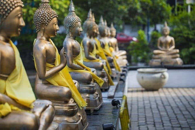 7 Days Sri Lanka Sightseeing Tour - Final Thoughts