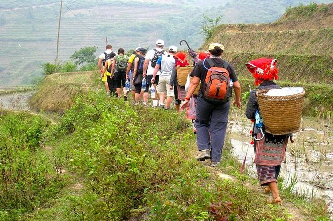 8-Day Discover Northern Vietnam Highlight: Hanoi - Ninh Binh - Sapa - Halong Bay - The Sum Up: Who Is This Tour Perfect For?