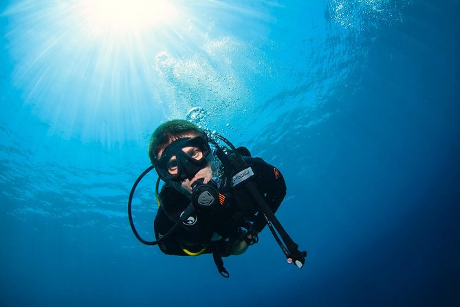 Advanced Open Water Course in Pemuteran - Certification in Bali (Menjangan park) - Who Will Benefit Most?