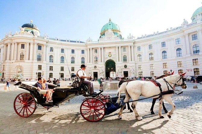 Airport Transfer: Vienna to Vienna Airport VIE by Luxury Van - Practical Tips for Travelers