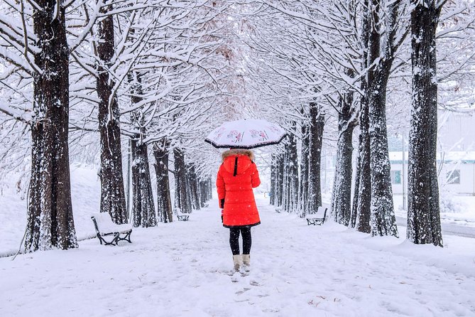 All Day Private Make your own plan tour to Nami Island and others - Frequently Asked Questions