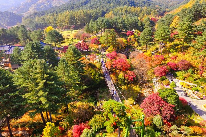 Alpaca World Tour with Nami Island & opt Railbike or Garden/Park - FAQ