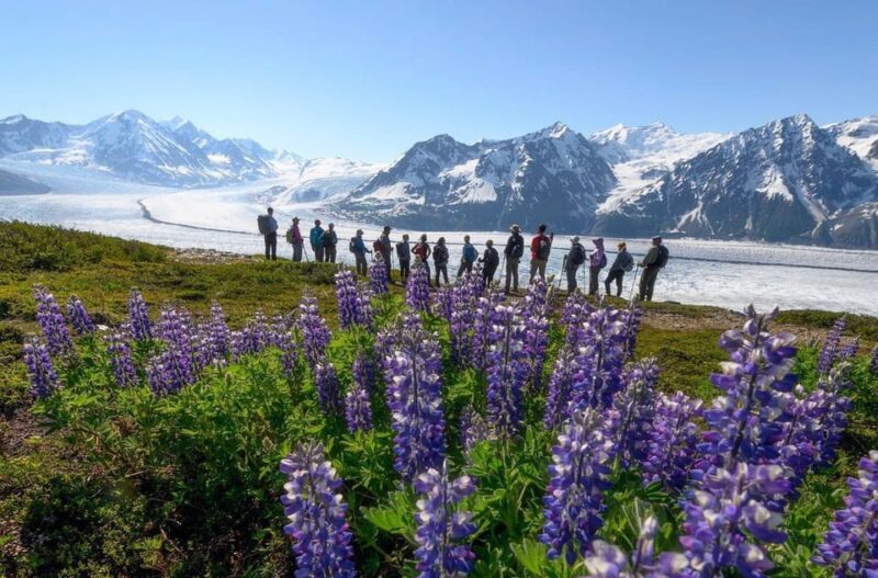 Anchorage: Grand Knik Glacier Helicopter Tour with Landings - Pricing and Value