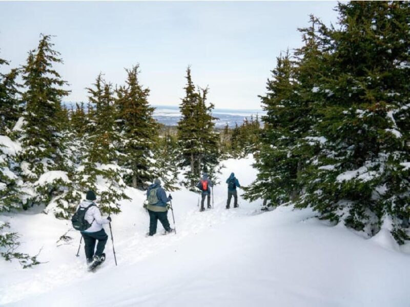Anchorage: Heli Snowshoe Adventure - FAQ — Practical Questions Answered