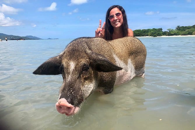 Ang Thong National Marine Park Full Day Tour - Final Thoughts
