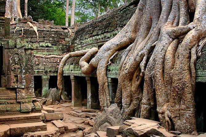 Angkor Wat Sunrise Private Experience with Guide from Siem Reap - Final Thoughts: Who Is This Tour Best For?