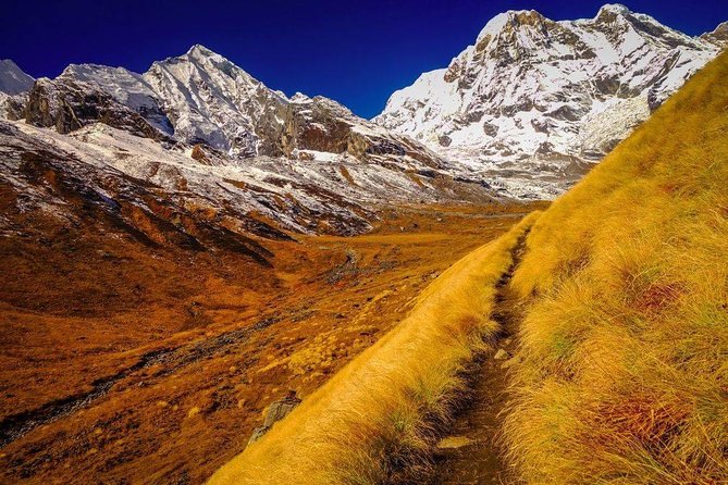 Annapurna Base Camp Trek - Day 5: Annapurna Base Camp and the Panorama