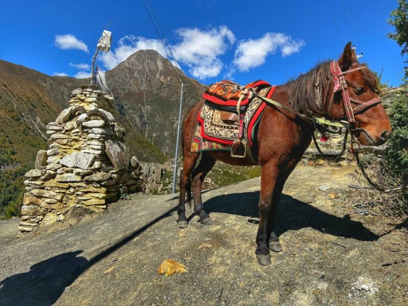 Annapurna Circuit Trek - 14 Days - The Experience on the Ground