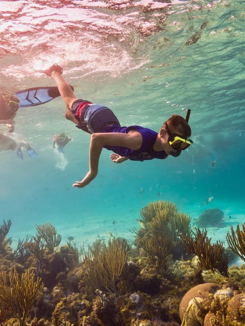 Ao Nang: 4 Islands Day Tour by Speedboat or Longtail Boat - The Food and Snorkeling Experience