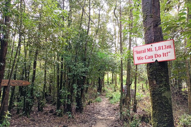 Aural Mountain Trek: Cambodia Tallest Peak Challenge - Practical Tips for Aspiring Trekkers