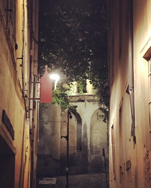 Avignon: Around The Palace Tour - Who Will Love This Tour?