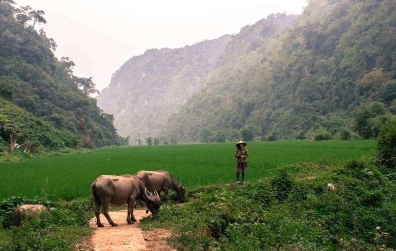 Ba Be - Ban Gioc Tour 4 days 3 nights: A Natural Escape - Final Thoughts: Who Should Consider This Tour?