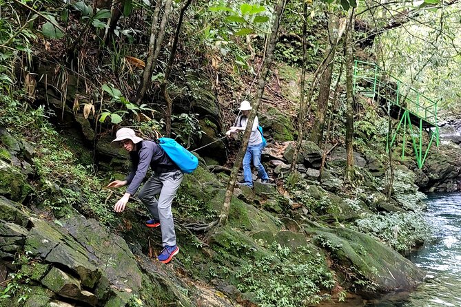 Bach Ma National Park trekking daily tour from Da Nang, Hoi An - Practical Considerations