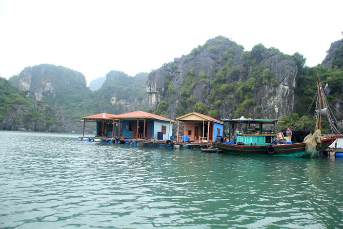 Bai Tu Long boutique & budget cruise 2D: Kayaking, swimming at pristine palaces - FAQ