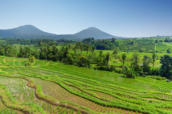 Bali Charm: Full-Day Bedugul and Tanah Lot Tour (UNESCO) - All Inclusive Tickets - FAQ