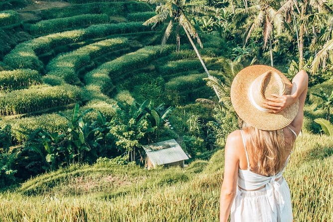 Bali Full-Day Tours : Waterfall and Ubud Destination Trip - The Sum Up