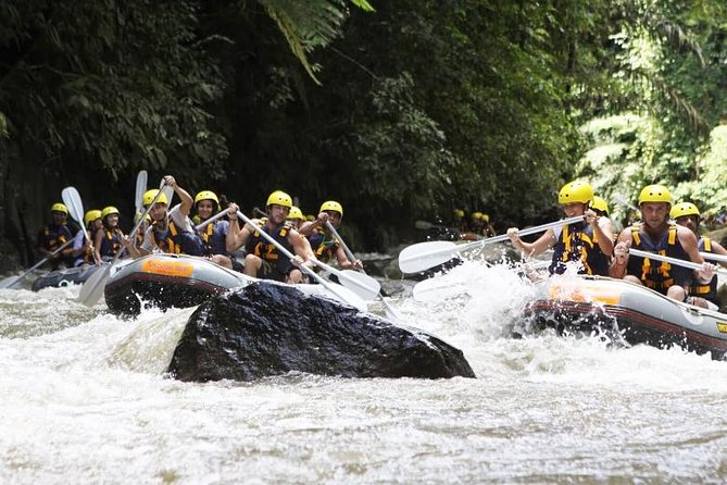 Bali Mason Adventure White Water Rafting - Logistics and Practicalities