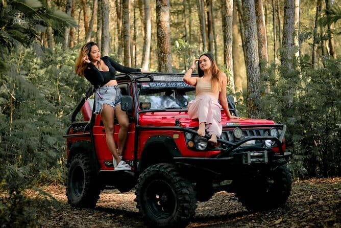 Bali Private Car Hire with Chauffeur - The Sum Up