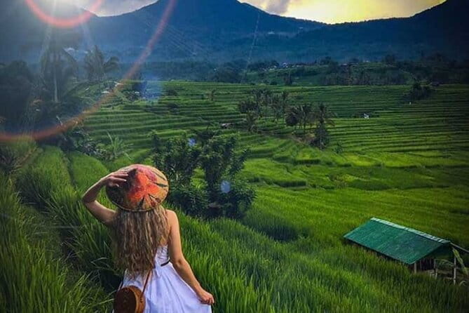 Bali Tour: Tanah Lot, UNESCO Rice Terrace and Water Temple - Final Thoughts: Is It Worth It?