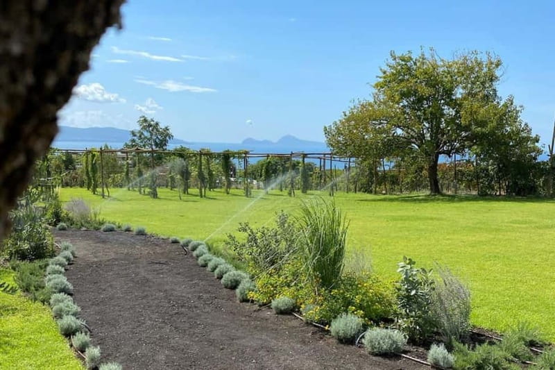 Barbeque on Mount Vesuvius with Panoramic View - Final Thoughts