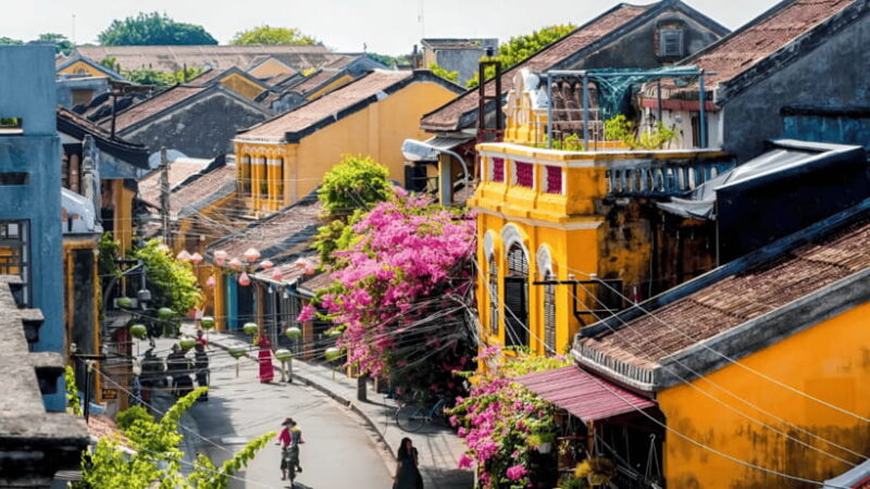 Bay Mau Coconut Forest and Hoi An tour: From Da Nang/ Hoi An - Authenticity and Traveler Feedback