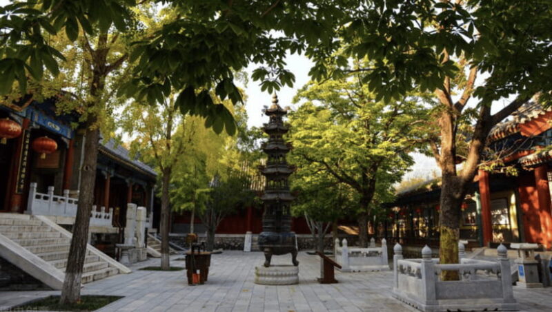 Beijing: Shaolin Temple Day Tour by Round Trip Bullet Train - Practical Tips for Travelers