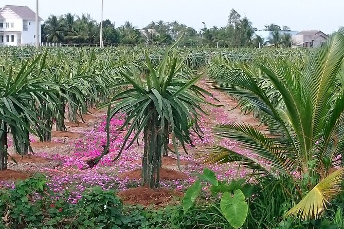 Best mekong delta bike tour - The Authentic Experience